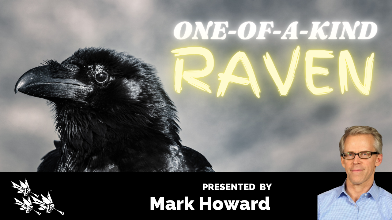 ONE-OF-A-KIND RAVEN – American Christian Ministries