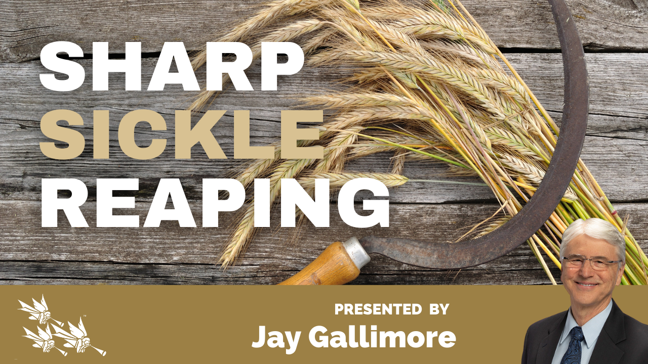 SHARP SICKLE REAPING – American Christian Ministries