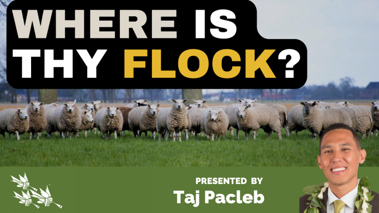 WHERE IS THY FLOCK? – American Christian Ministries